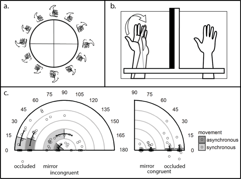 Research – Jared Medina